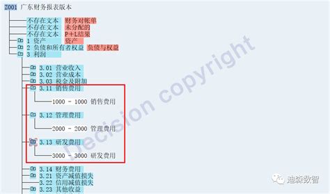 【迪森专家专栏】第5篇：sap财务会计 跟着迪森专家学习如何使用标准功能，实现中国本地化资产负债表、利润表！ 知乎