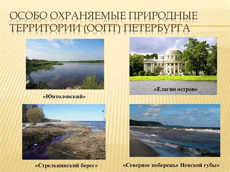 Экология населенного пункта Локальные экологические проблемы Проблемы