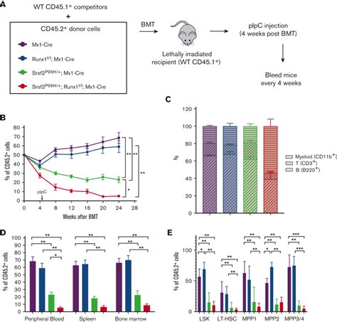 Runx1 Deficiency Cooperates With Srsf2 Mutation To Induce Multilineage Hematopoietic Defects