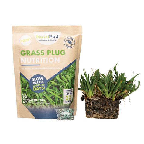 Palmetto St Augustine Grass Plugs And Nutripod Sodpods®