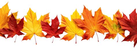 Fall Leaf Border Png