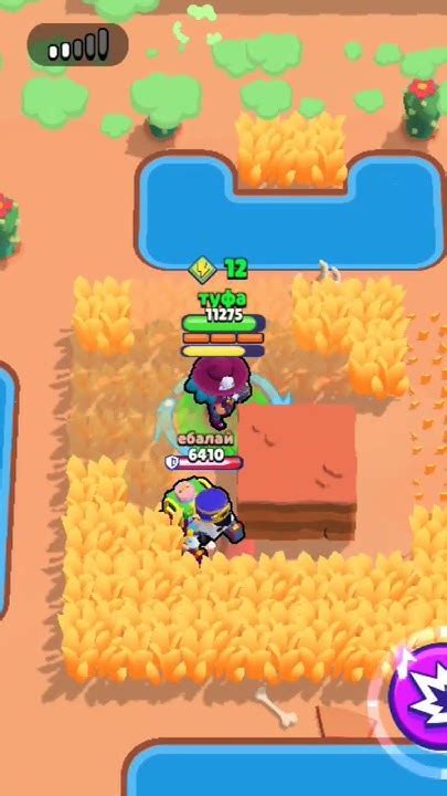 шелли не любить биби шарк Youtube