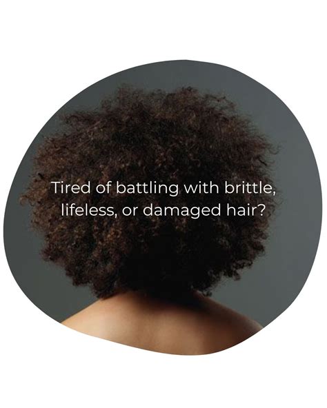 How To Treat Chemically Damaged Hair 4th Ave Market