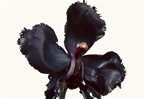 Τριγυρνάμε στα δέκα πιο ιδιαίτερα αξιοθέατα της Ελλάδας Clickatlife