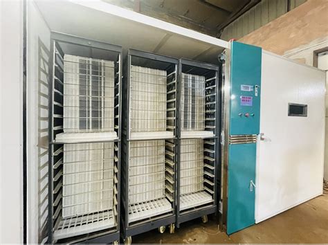 Automatic Large Scale Chicken Egg Hatching Machine Hatching Rate 98