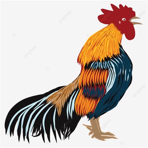 Crowing Rooster Logo Illustration Vector Cock Bird Animal Png And
