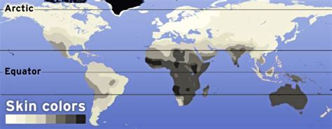 11 Pics And Maps Science Race Is Much More Than Just Skin Color