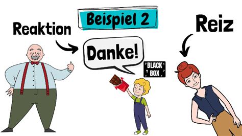 Behaviorismus In Der Psychologie Lerntheorien Einfach Erklärt
