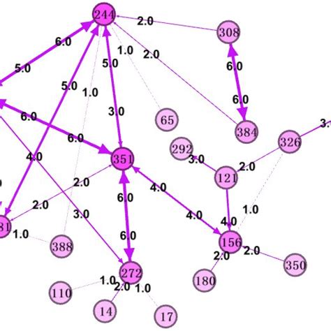 An Example Of Dual Direction Different Weight Complex Network Model