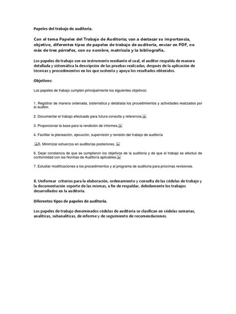 Papeles De Trabajo De Auditoria Pdf