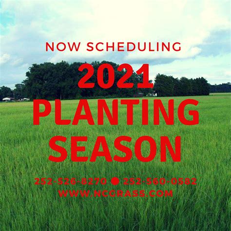 Heath Grass Sprigging Scheduling For 2021 Planting Season Now Get Your Name On The List For