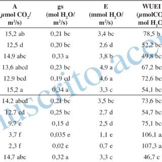 Behavior Of Gas Exchange Variables In Potato Plants Solanum Phureja