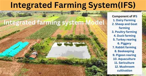 Integrated Farming System 9 Models Objectives And Advantages