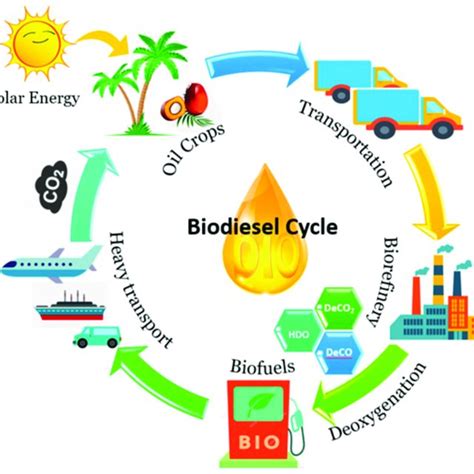 The Life Cycle Of Biodiesel Download Scientific Diagram