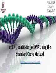 Quantifying DNA Concentration With QPCR Standard Curve Method Course