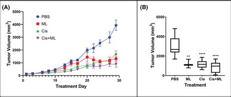 Ml Inhibits H82 Xenograft Tumor Growth A Tumor Volume Measurement
