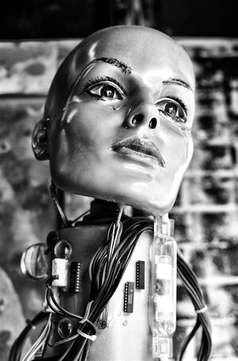 About Machine Learning Dojo