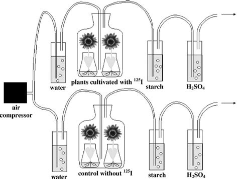 Scheme Of Volatilization Experiment Download Scientific Diagram