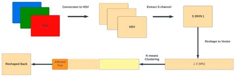 Agriculture Free Full Text Enhancing Rice Crop Management Disease Classification Using
