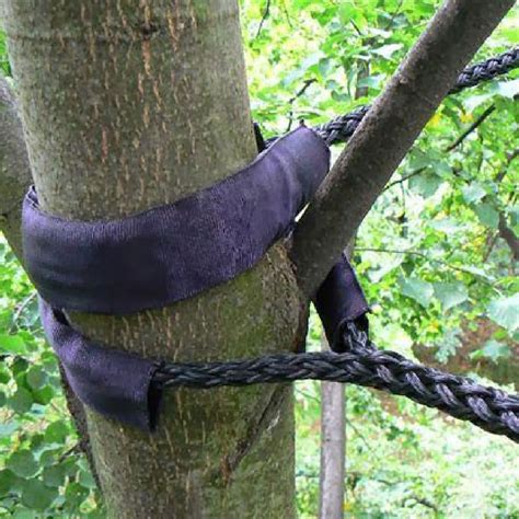 Professional Tree Cabling And Bracing Services In Hillsboro Oregon