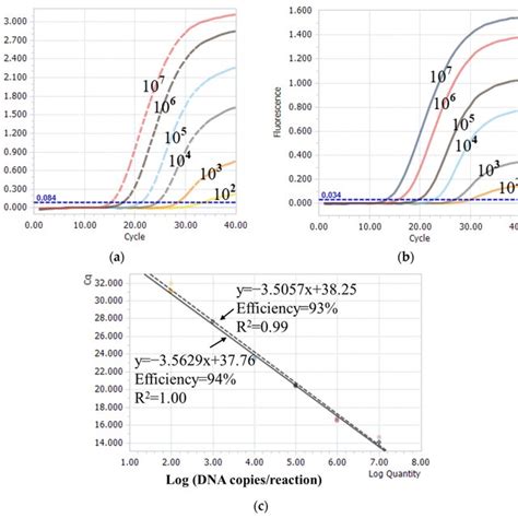 Specificity Of The One Step Real Time Taqman Rt Pcr Assay A Fj2021