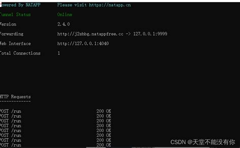 Xxljob部署在外网时，使用natapp进行内网穿透访问内网中的执行器xxl Job Remoting Errorconnect Timed Out For Url Csdn博客