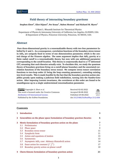 pdf field theory of interacting boundary gravitons