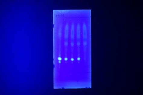 薄层色谱tlc实验中紫外线灯怎么操作？ 上海峰志仪器有限公司