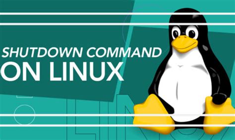 Sort Files By Size With Linux LS Command LinuxWays
