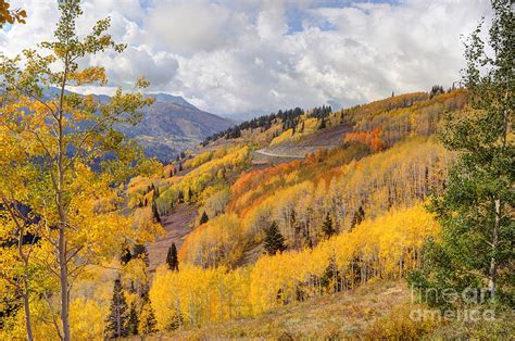 Guardsman Pass Map At Ryan Brooks Blog