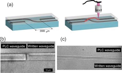 Waveguide Interconnection Enables Configurable Lightwave Circuits