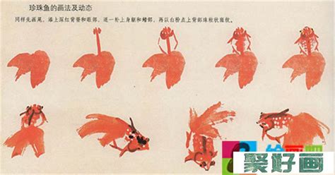 国画初学者画鱼的画法是什么 加加色