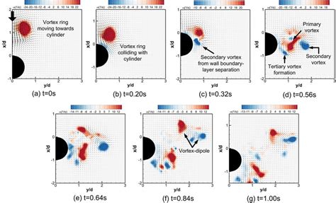 Time Sequenced Velocity And Vorticity Maps Associated With Vortex Ring