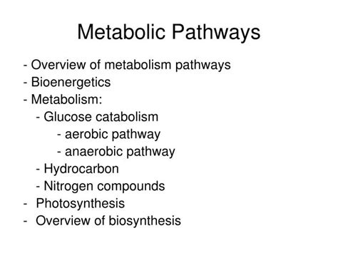 Ppt Metabolic Pathways Powerpoint Presentation Id3639114