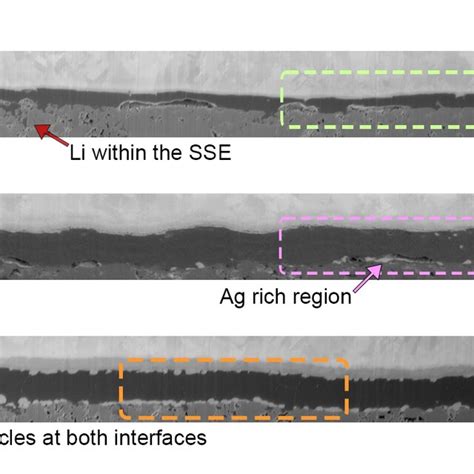 Cross Sectional Pfib Sem Characterization After The First Li Download Scientific Diagram