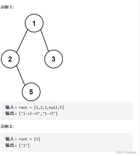 257 二叉树的所有路径 Csdn博客
