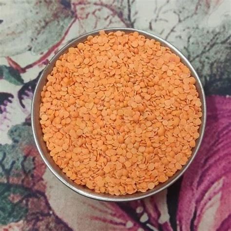 Indian Masoor Dal High In Protein At ₹ 75kg In Pune Id 2851657776573