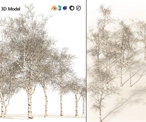 Artstation Winter White Birch Tree Forest Game Assets