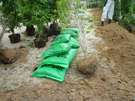 筑紫野市 植栽生垣工事庭造りや生垣などの植木のご相談はガーデニング庭造り相談所へ