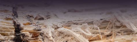 The Difference Between Licensed And Non Licensed Asbestos Removal