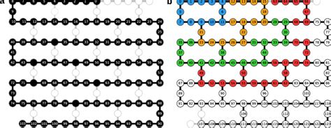 Fig S7 Mapping Virtual To Physical Qubits In The Quantum Processor Download Scientific