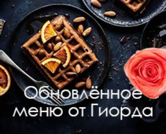 Пищевые добавки, пищевые ингредиенты и сухие смеси для HoReCa — «Гиорд»