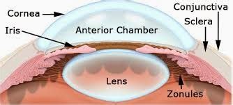 What Is Eye Pressure Eyedolatry