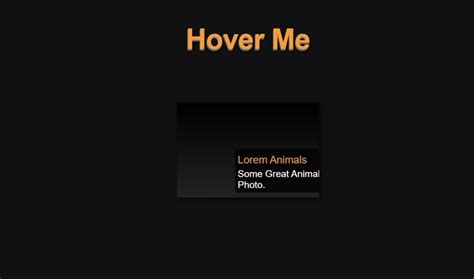 Bootstrap Image Hover Effect Examples OnAirCode