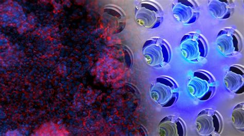 Scalable Organ On A Chip Systems