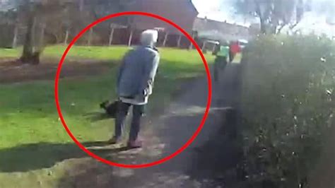 Brave Dog Walker Helps Police Catch Suspect After High Speed Chase In