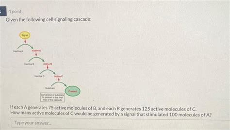 Solved B 1 Point Given The Following Cell Signaling Cascade Chegg