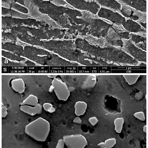 A Sem Micrographs Of Slm Built B Sem Micrographs Of Slm Built Samples