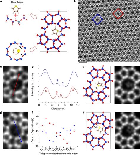 清华大学魏飞团队研究成果今日再登Nature单分子成像技术 知乎