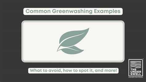 Common Greenwashing Examples